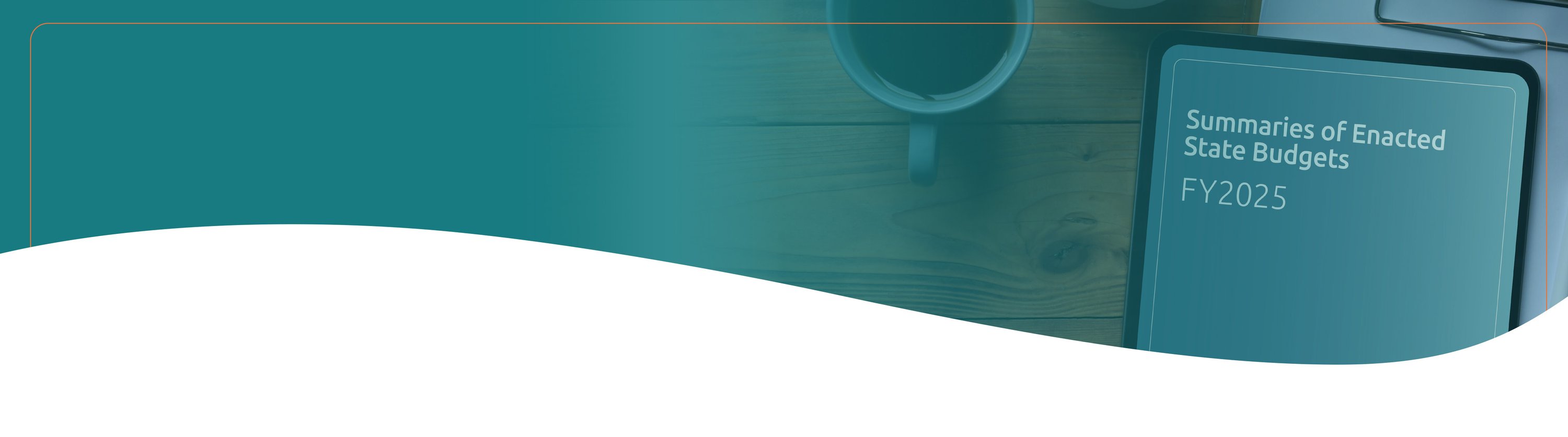 Enacted State Budgets Fy25